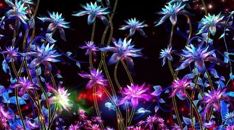 花蝴蝶视频素材-花蝴蝶视频AE模板下载-我图网